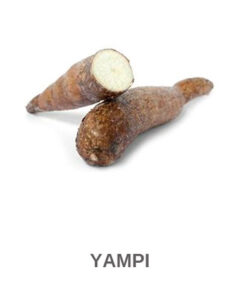 Our Products | Delina Inc